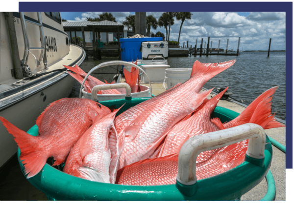 Hull's Seafood Market & Restaurant in Ormond Beach, FL - Our Story
